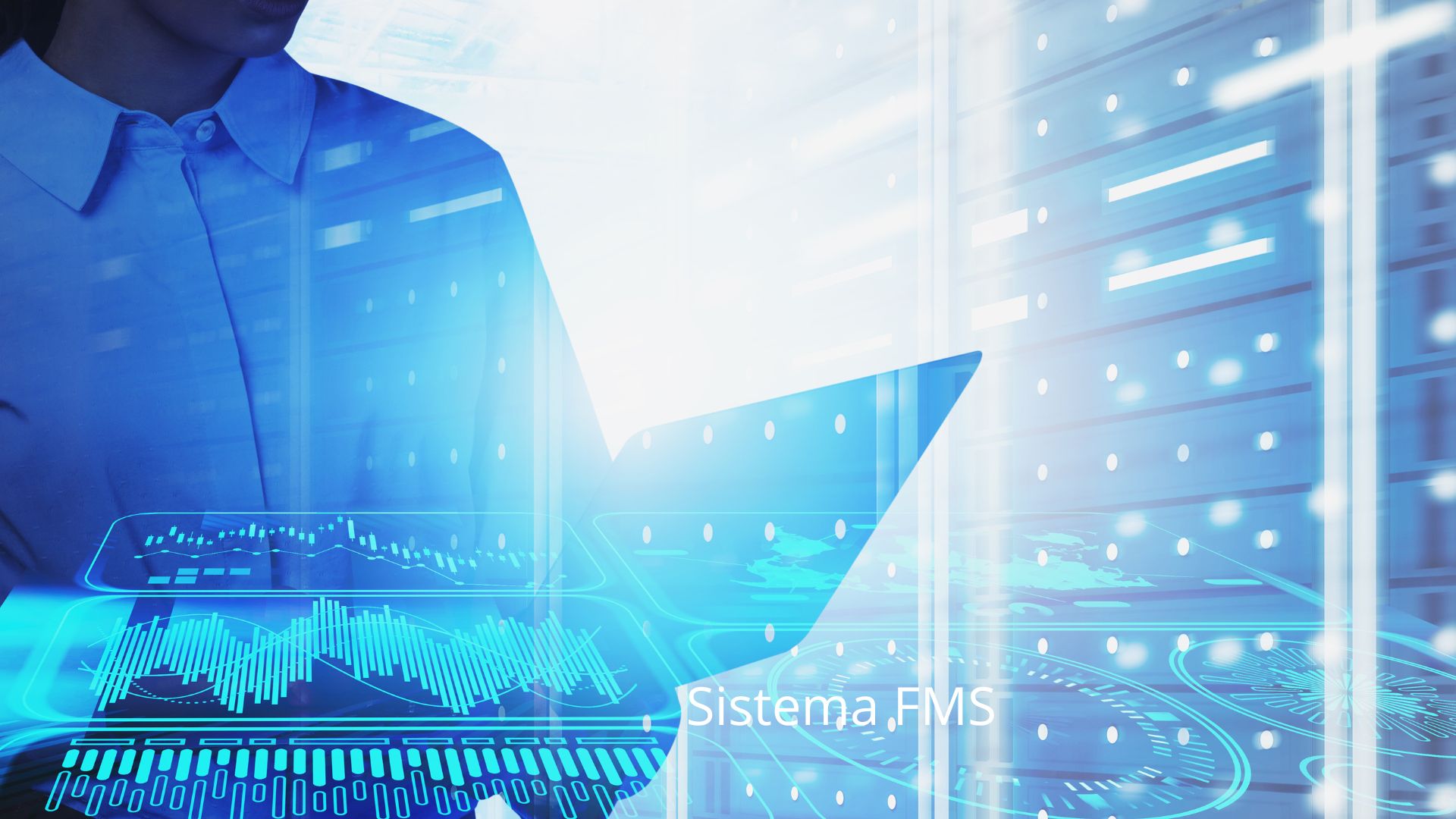 Cómo funciona un sistema FMS Data Center